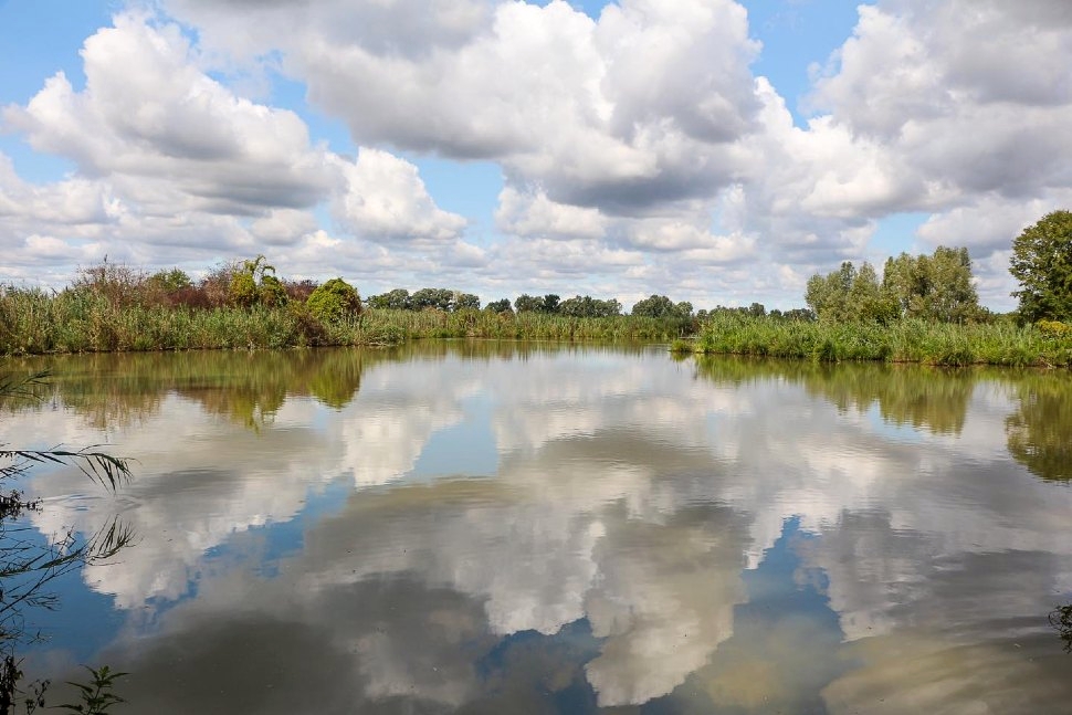 "In cammino con le Gev": escursioni gratuite alle Paludi di Ostiglia e ...
